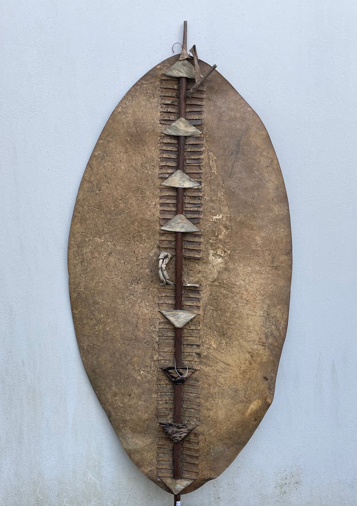 Original 1879 Zulu Regimental War-Shield, Isihlangu: uKhandempemvu (uM ...