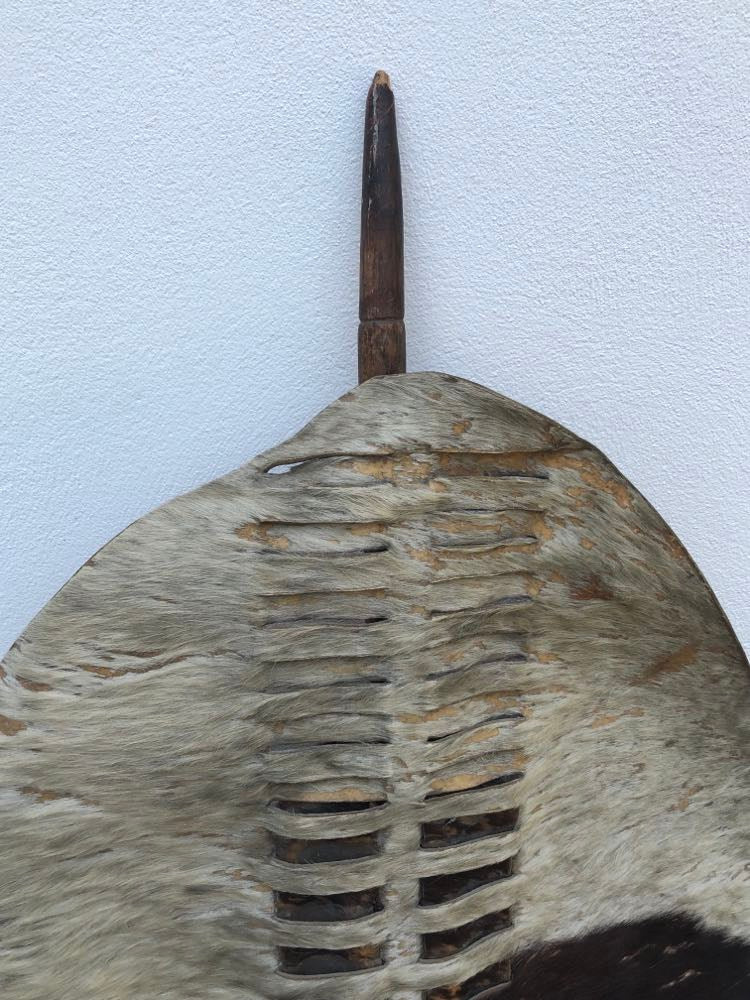 MAGNIFICENT ORIGINAL 1879 REGIMENTAL ZULU WAR SHIELD, ISIHLANGU - 53 x ...